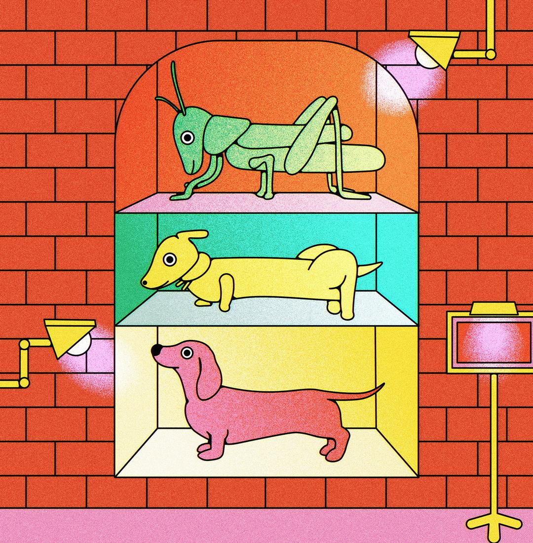 Emma Erickson: The science behind her art